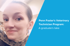 Accredited College, High School & Career School Online | Penn Foster