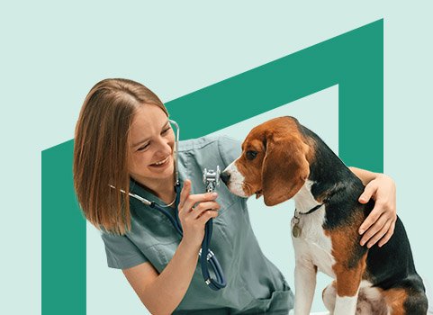 How to Pass the Vet Tech Exam (Guide to the VTNE) | Penn Foster