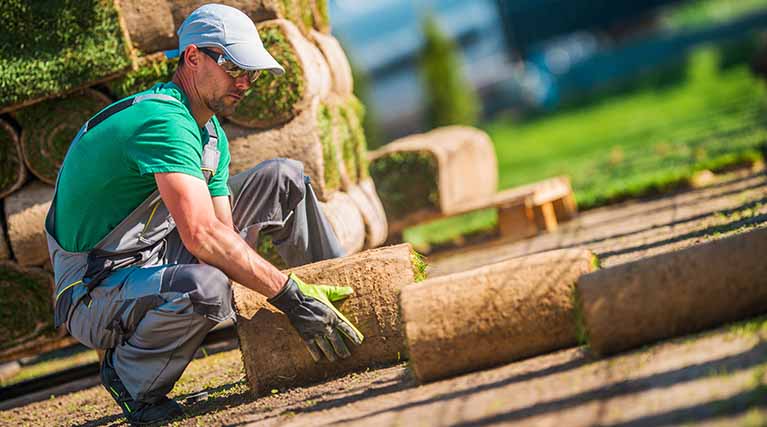 Online Landscaping Classes- Program Overview | Penn Foster